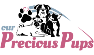 Puppies – Our Precious Pups